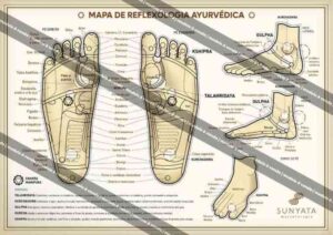 Mapa de Reflexologia Podal para baixar e imprimir em PDF